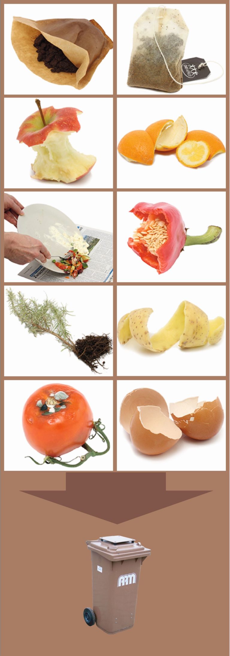 Abfallsortierung - apm